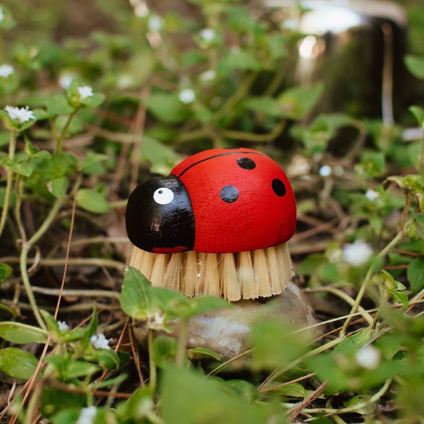 Ladybug Brush - Multi-purpose | sustainable haus mercantile